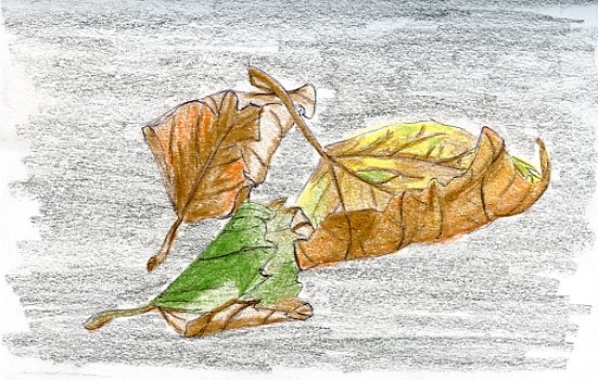 Artwork | Catherine Louise Rand